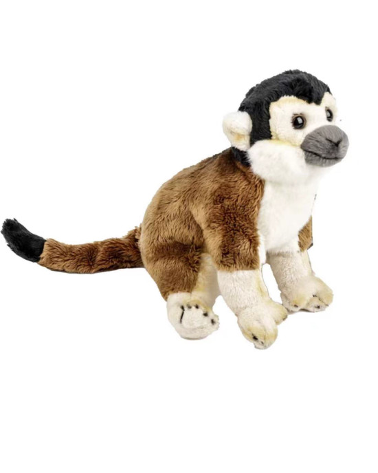 National Geographic Rainforest Series - Squirrel Monkey