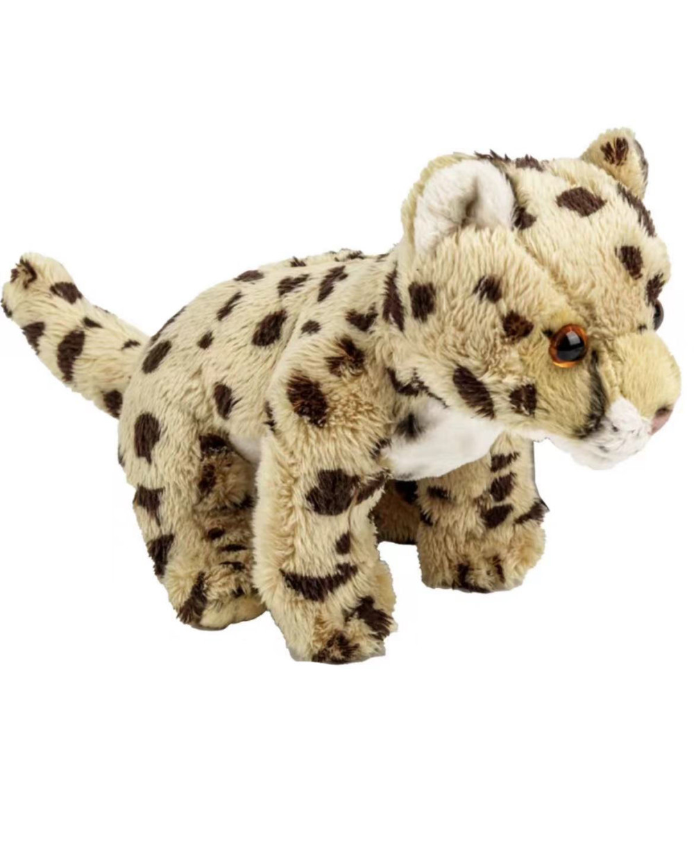 National Geographic Feline Series - Cheetah