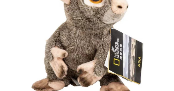 National Geographic Asian Series - Tarsier