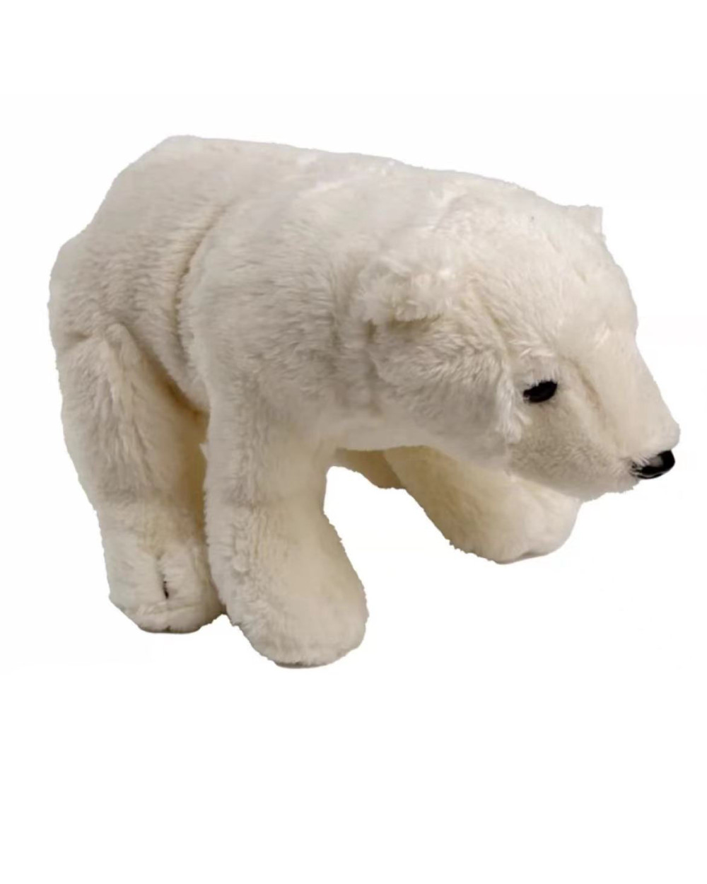 National Geographic Polar Series - Polar Bear